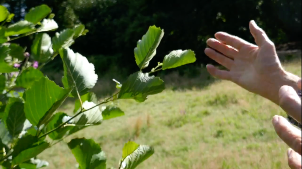 In conversation with... Richard Layzell - Highgate Festival